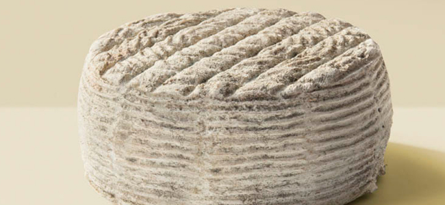 Queso Camerano | La Rioja Capital