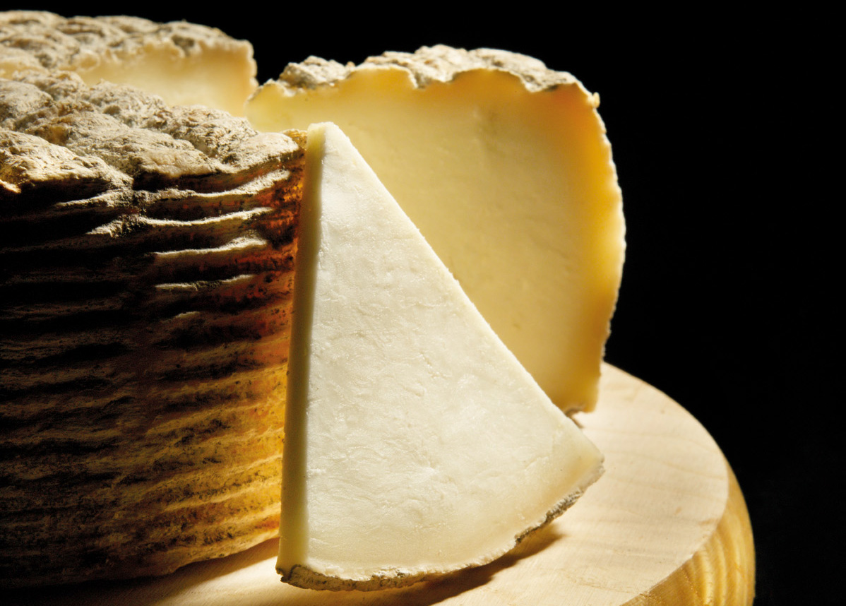 El Queso Camerano, entre Denominaciones de Origen de toda España | La ...